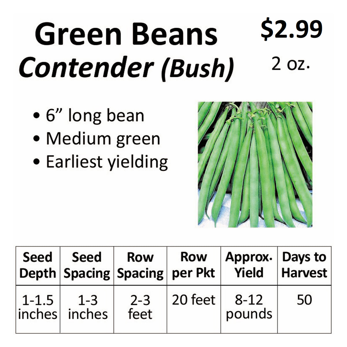 Beans - Green Bean Contender (seeds) | Knobloch's Greenhouse